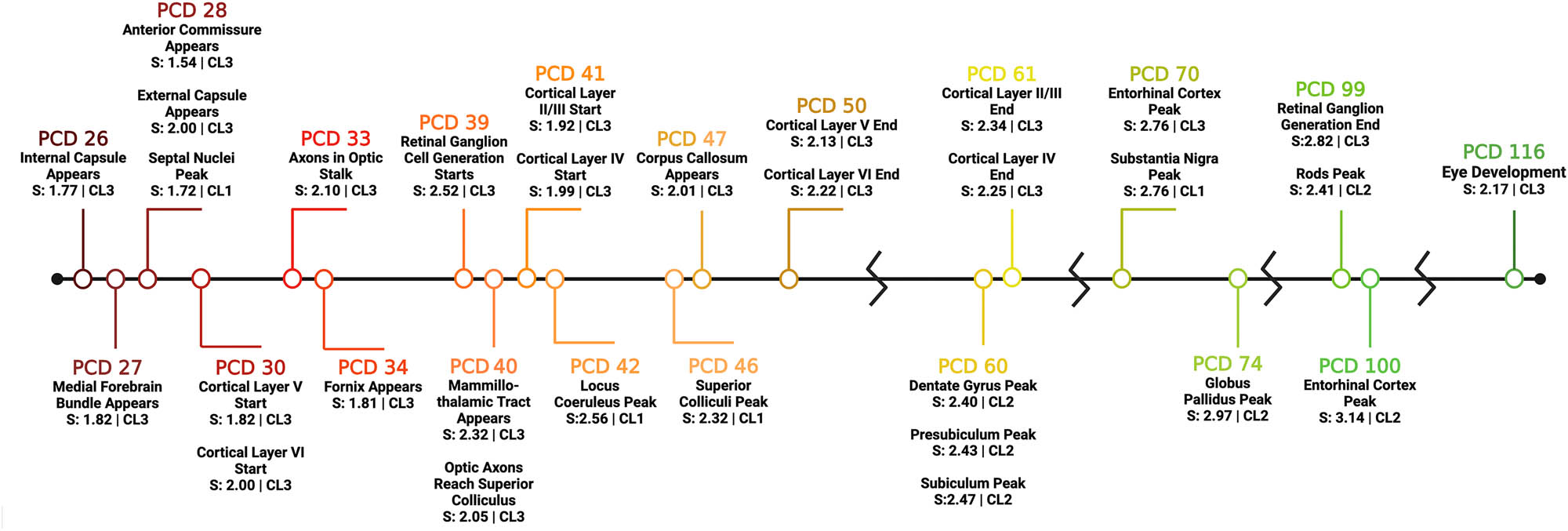 Establishing the pig as a translational animal model for neurodevelopment