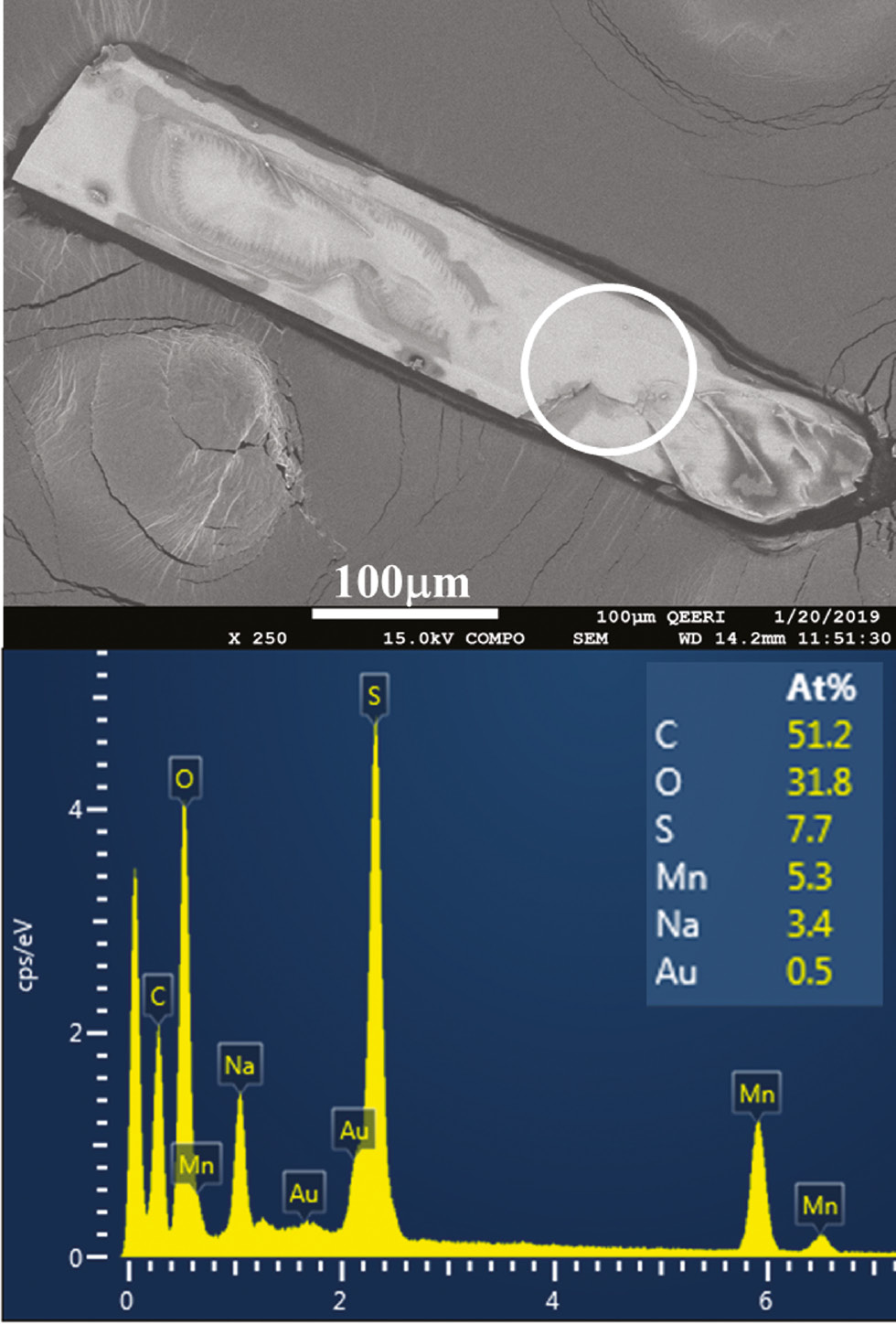 Crystal structure of a new polymorphic modification of Na2Mn3(SO4)4