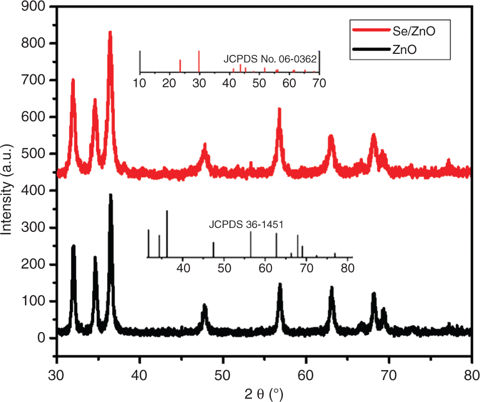 Selenium Zinc Oxide (Se/ZnO) Nanoparticles: Synthesis, Characterization ...