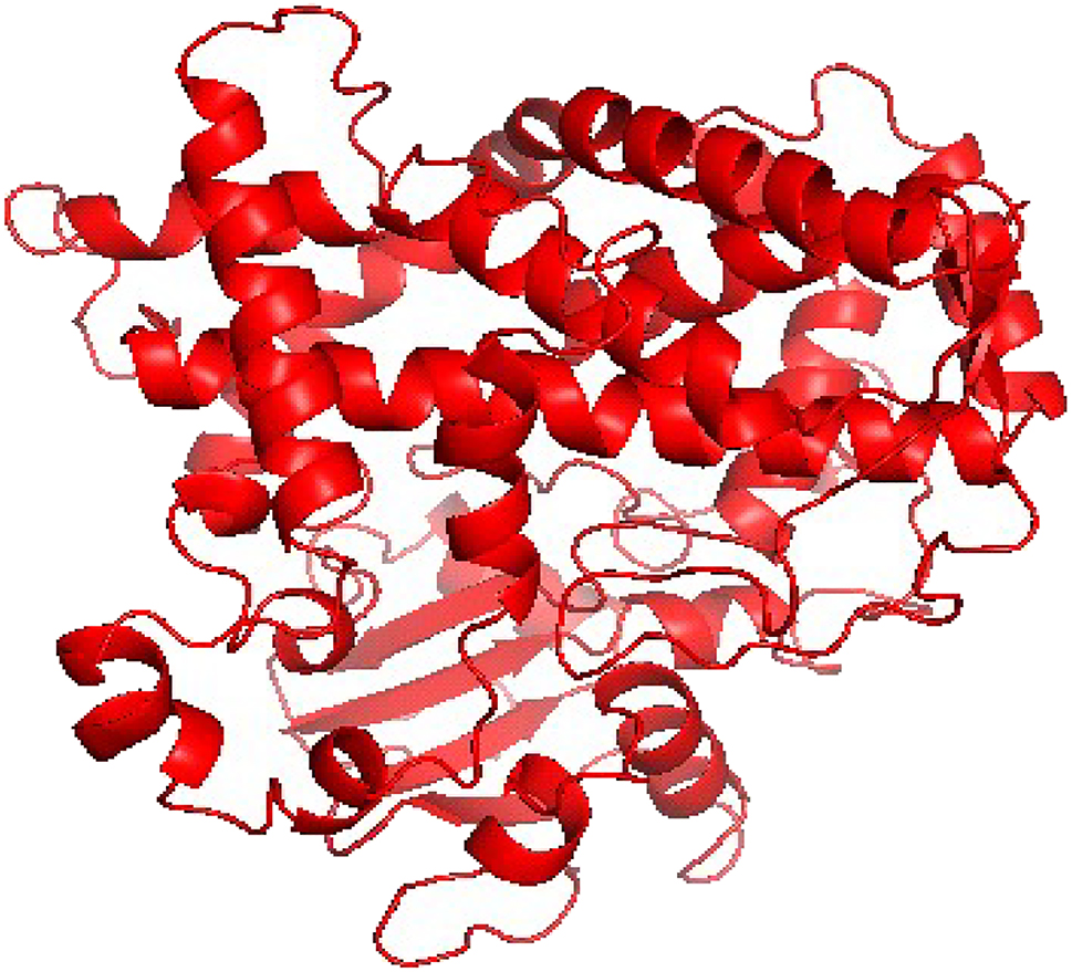 Evaluating the MDCK cell permeability of greenly synthesize bimetallic ...