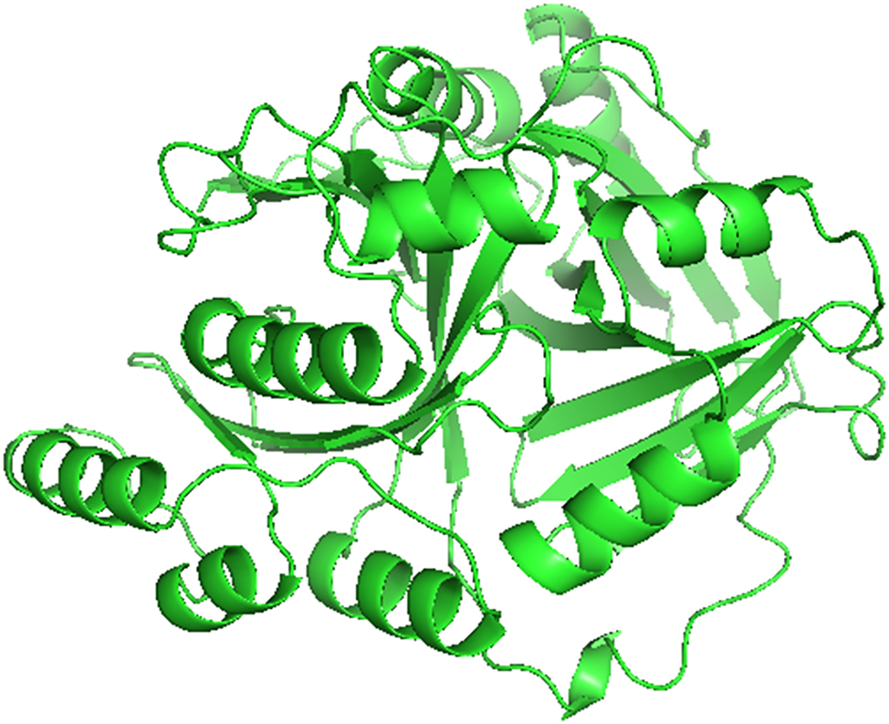 Redefining a new frontier in alkaptonuria therapy with AI...