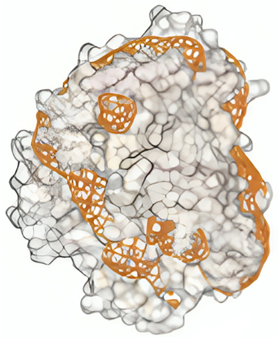 Redefining a new frontier in alkaptonuria therapy with AI...