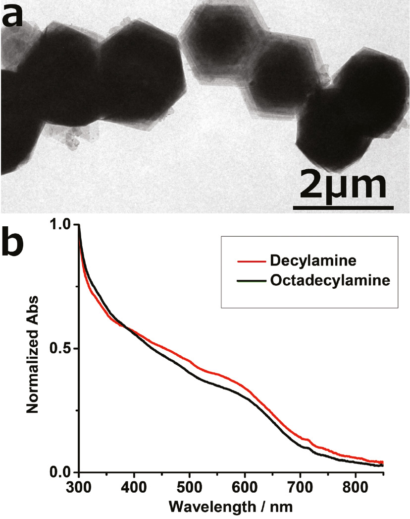 Ultrafast Transient Absorption and Terahertz Spectroscopy as Tools to ...