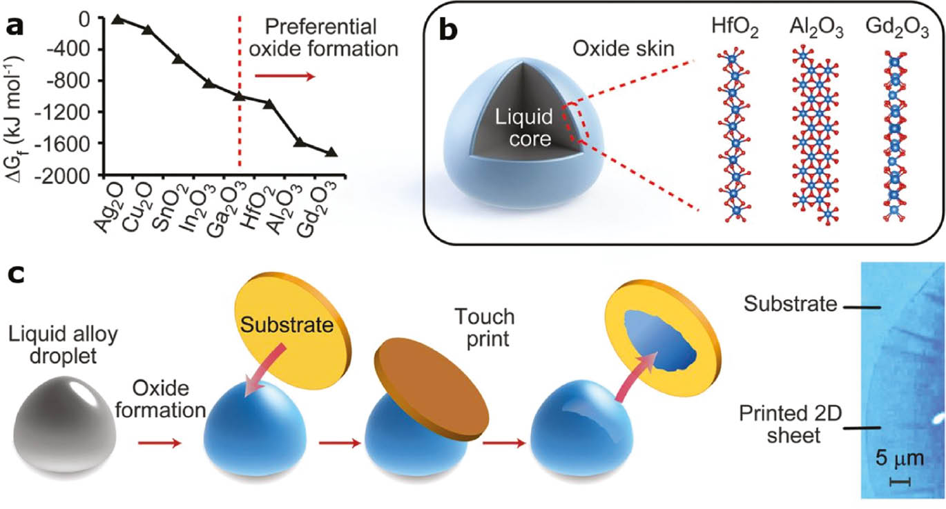Two-Dimensional Oxides: Recent Progress in Nanosheets