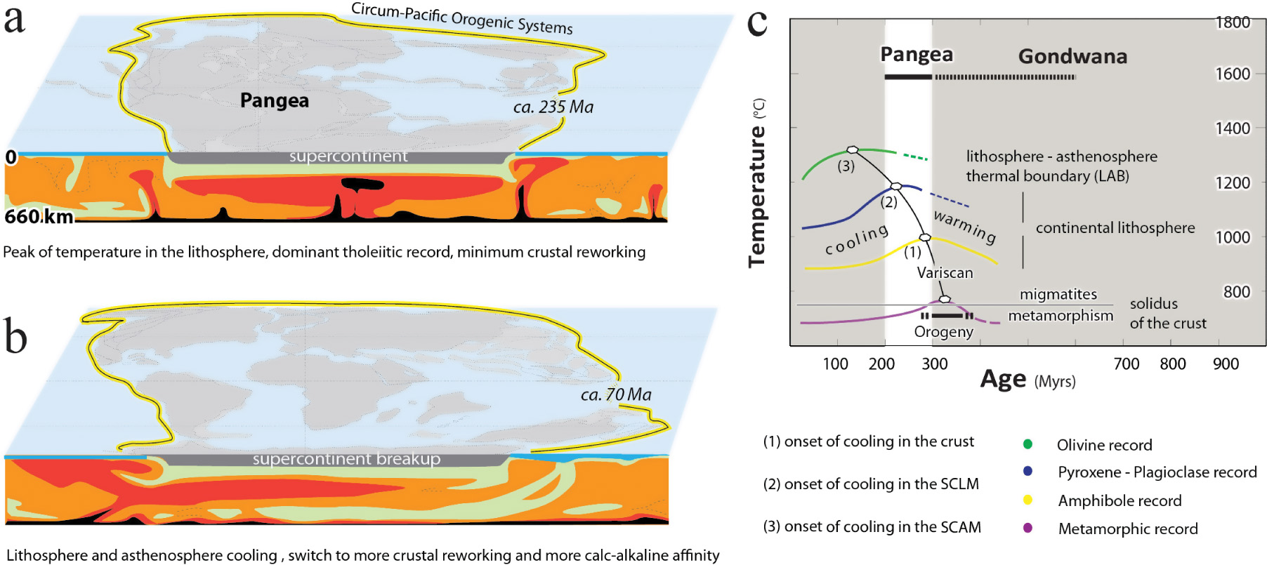 Statistical petrology reveals a link between supercontine...