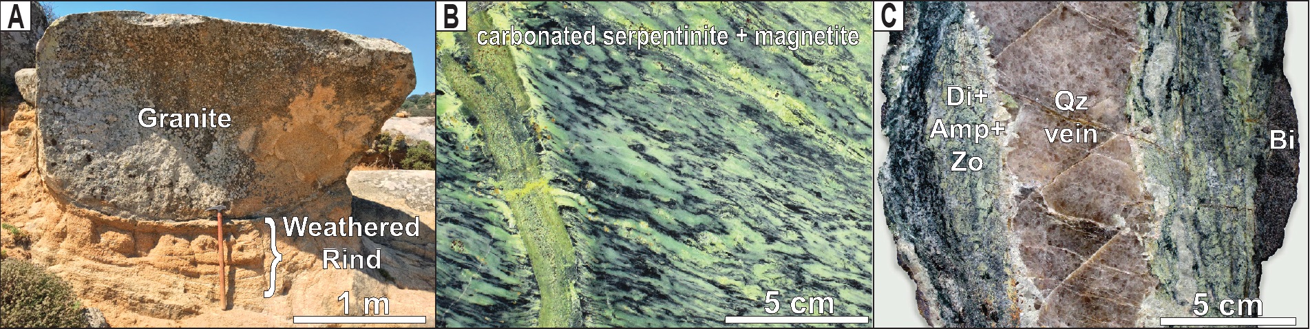 Carbonation and decarbonation reactions: Implications for planetary ...