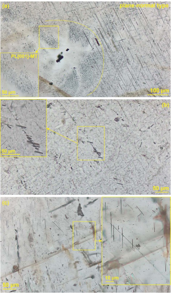 Oriented secondary magnetite micro-inclusions in plagioclase from ...
