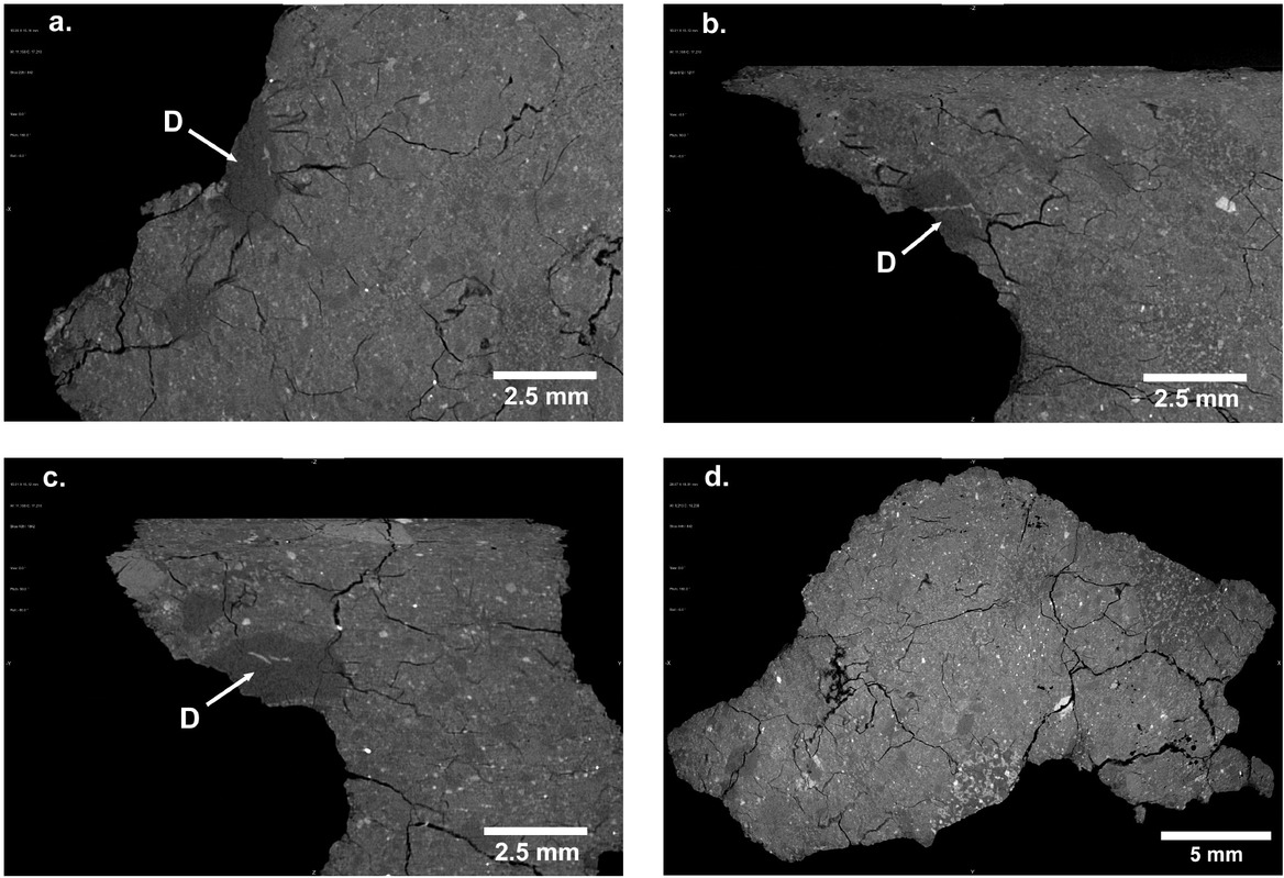 A dunite fragment in meteorite Northwest Africa (NWA) 11421: A piece of ...