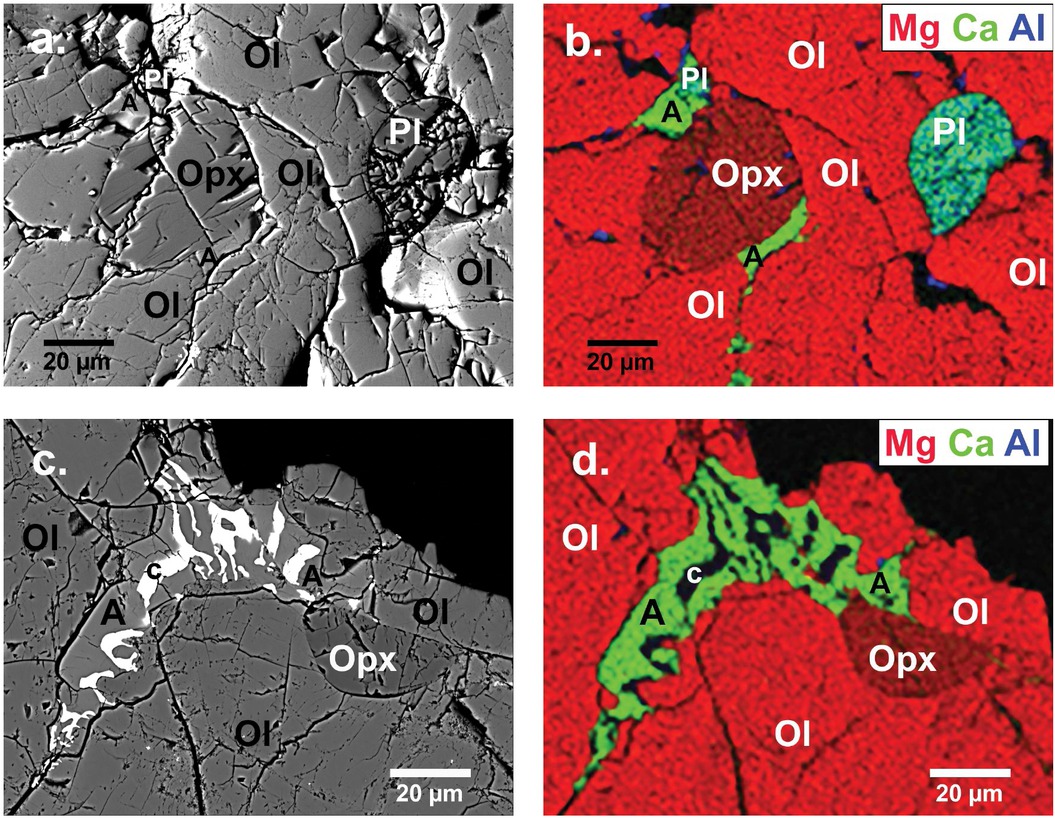 A dunite fragment in meteorite Northwest Africa (NWA) 11421: A piece of ...