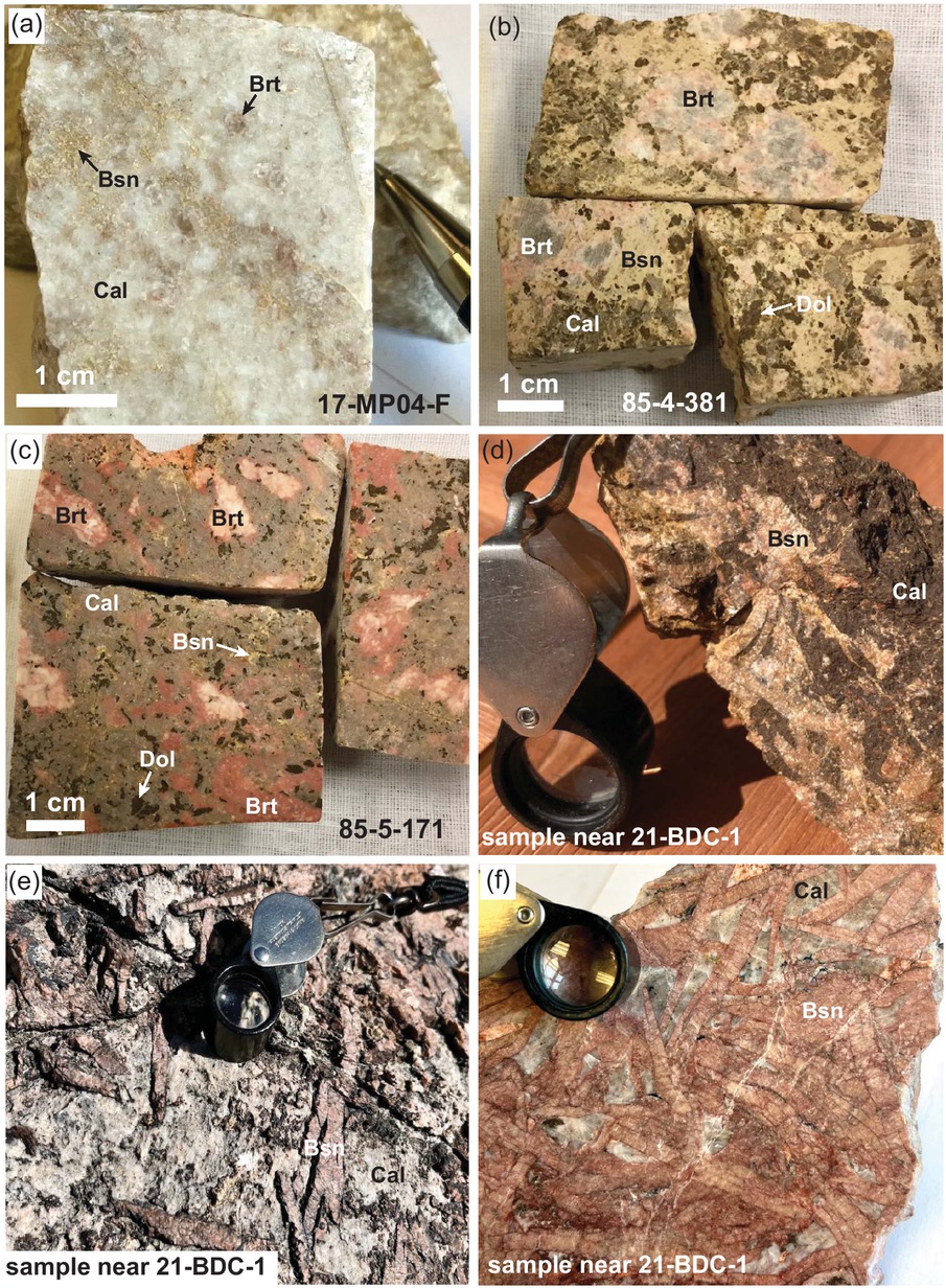 Complex carbonate ore mineralogy in the Mountain Pass car...