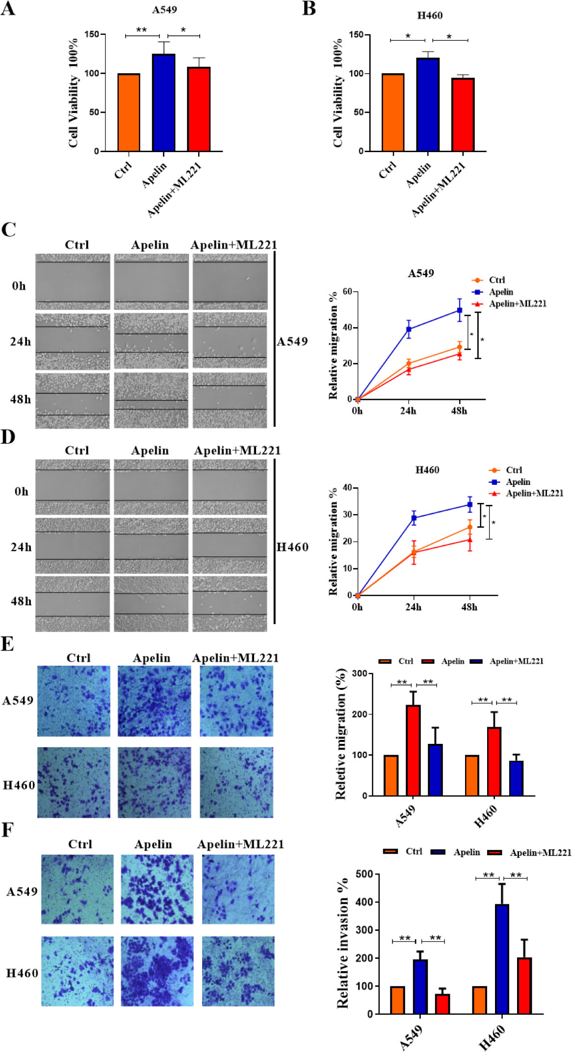 Apelin aggravates the migration and invasion of non-small cell lung ...