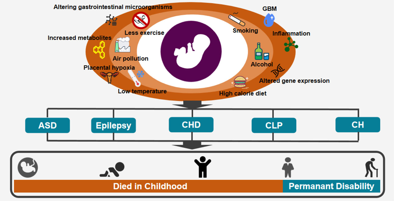 The effect of living environment on developmental disorders in cold regions