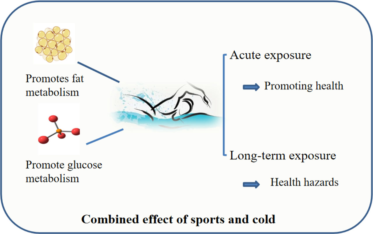 The effects of cold stimulation and exercise on human health