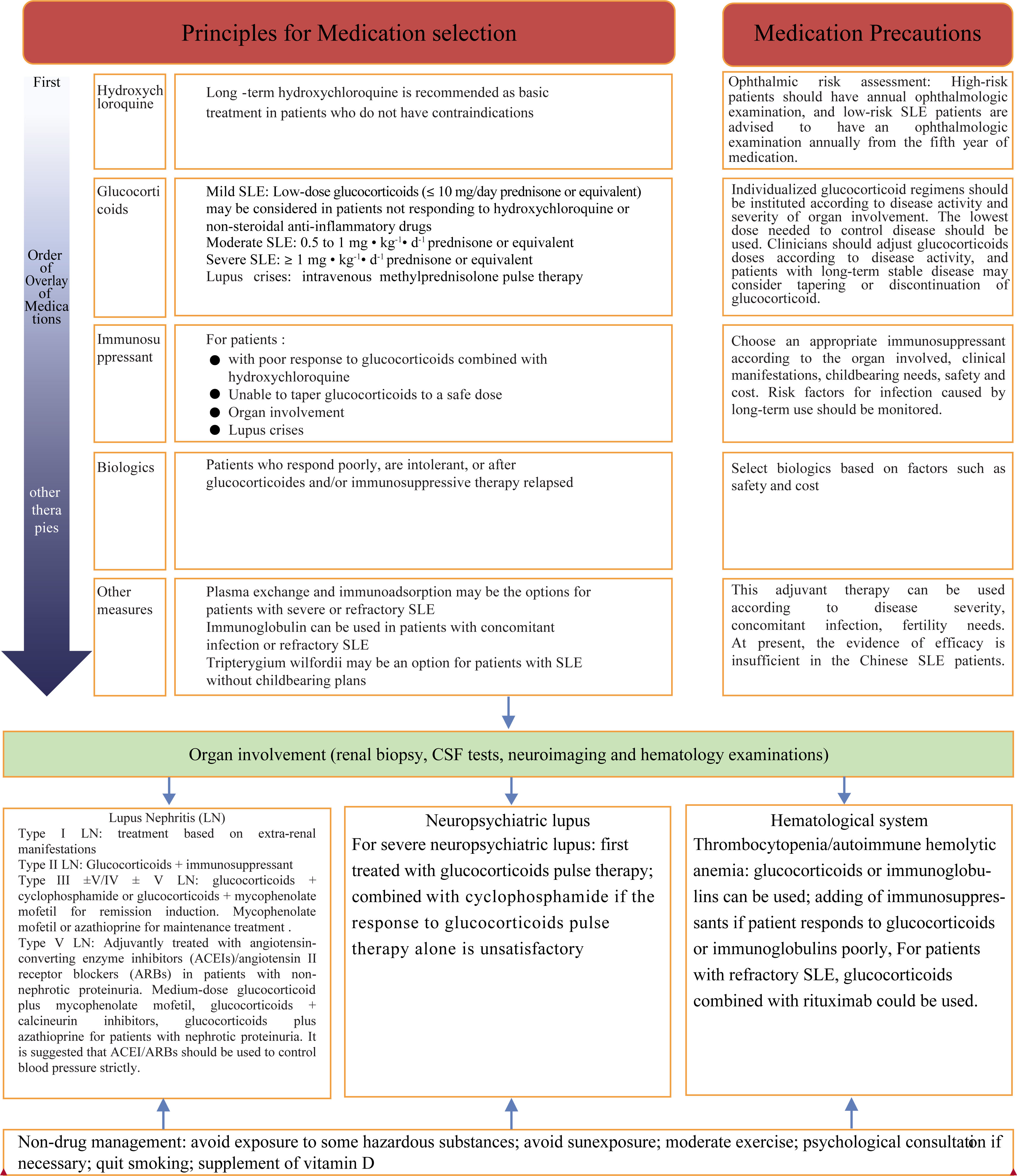 2020 Chinese guidelines for the diagnosis and treatment of systemic ...
