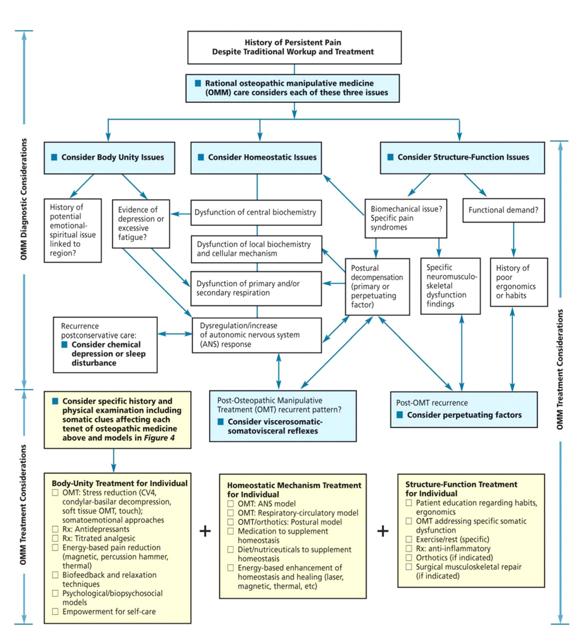 Applying Osteopathic Principles to Formulate Treatment for Patients ...