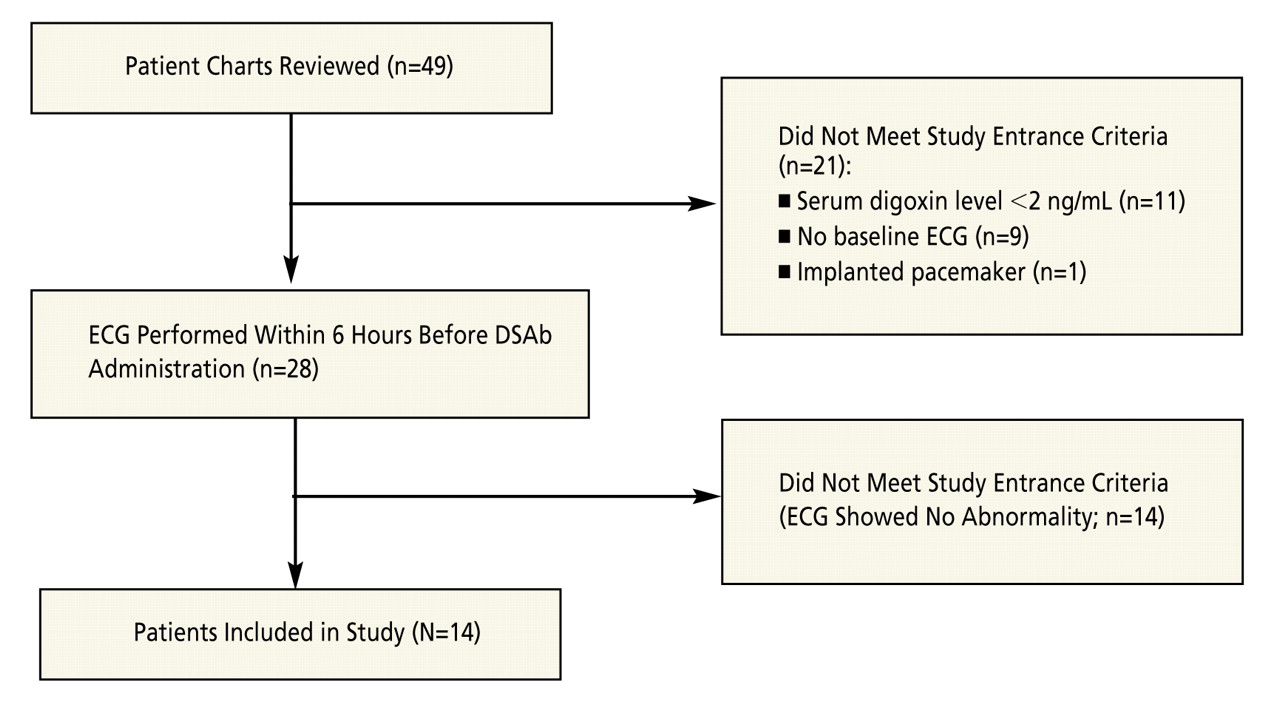 Treatment of Chronically Digoxin-Poisoned Patients With a Newer Digoxin ...