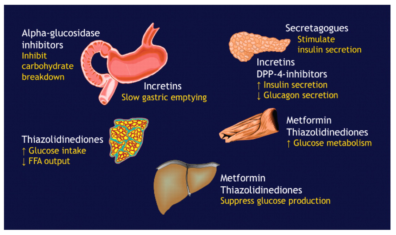 Improving Outcomes in Patients With Type 2 Diabetes Mellitus: Practical ...